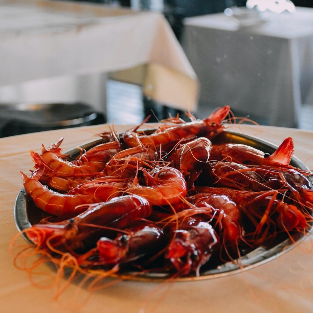 El Racó del Navegant – Grup Racó